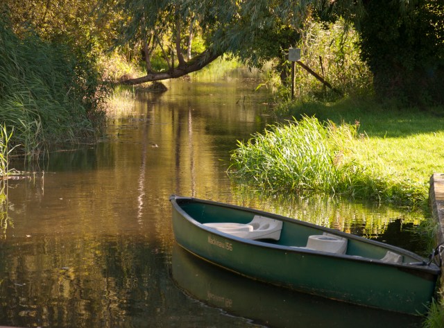 Things to do | Surlingham