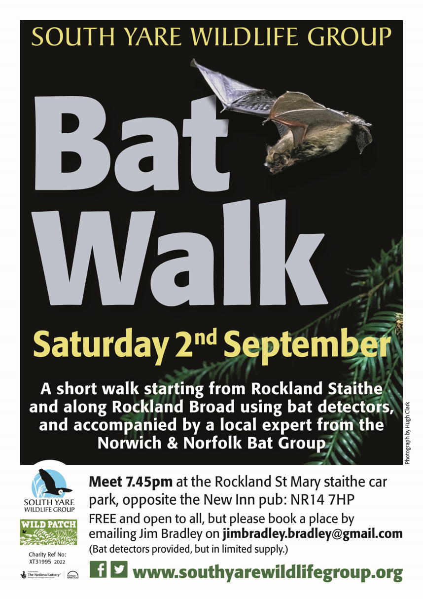 South Yare Wildlife Group – Bat Walk Saturday 2nd September | Surlingham